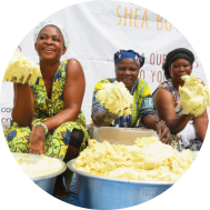 Rainy City Agency - Award-Winning Shopify Plus Partner